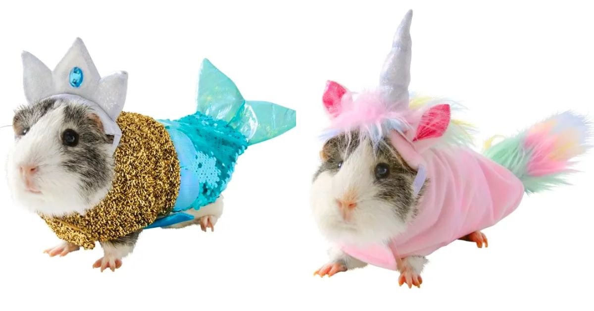 Asus Unveils Zenbook Pro Duo Laptop featuring dual 4K screens